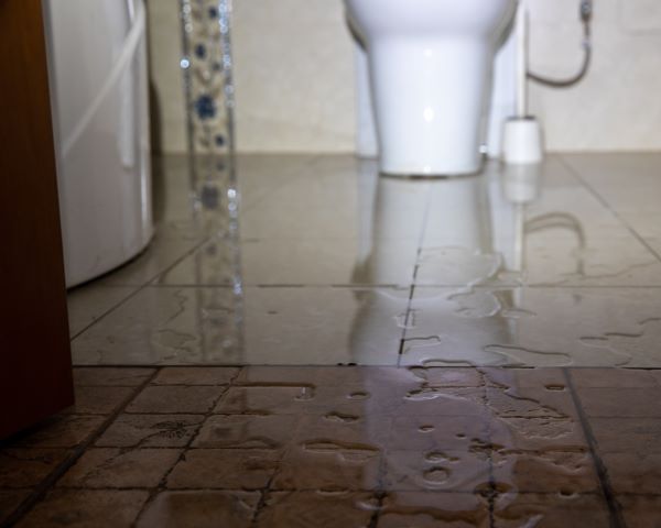 Legend Brands | Standard Procedures for Water Damage Categories